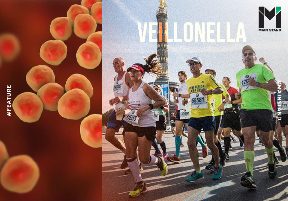 Veillonella : แบคทีเรียในลำไส้ที่ช่วยเสริมประสิทธิภาพให้กับนักวิ่ง ...