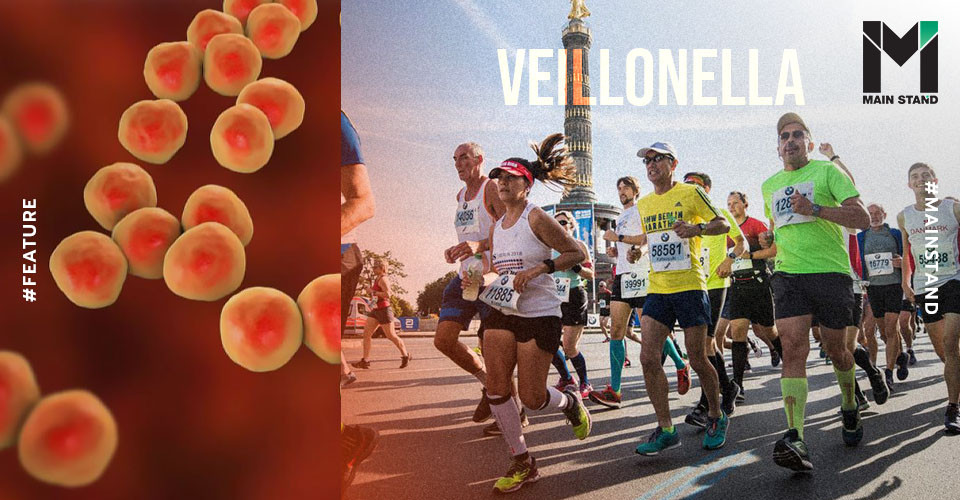 Veillonella : แบคทีเรียในลำไส้ที่ช่วยเสริมประสิทธิภาพให้กับนักวิ่ง ...